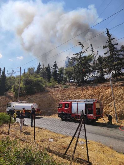Aναφορικά με τις πυρκαγιές της 25ης και της 26ης Ιουλίου 2022 στην Π.Ε ...