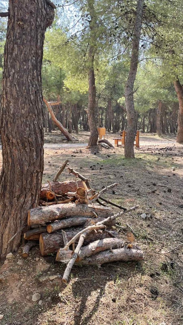 Διανομή ξύλων από τον Δήμο Ζωγράφου για τις κρύες ημέρες του χειμώνα