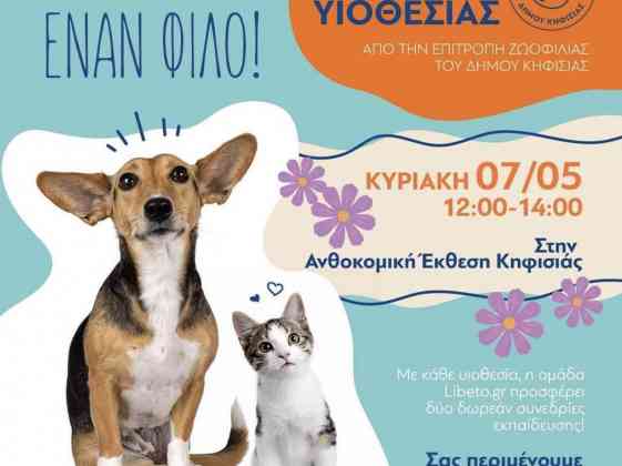 ΗΜΕΡΑ ΥΙΟΘΕΣΙΑΣ ΣΤΗΝ ΑΝΘΟΚΟΜΙΚΗ ΕΚΘΕΣΗ ΚΗΦΙΣΙΑΣ 7/5